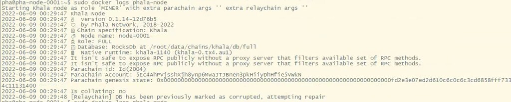 Khala-node和kusama-node的服务状态都是stop - 节点部署支持 - Phala Forum